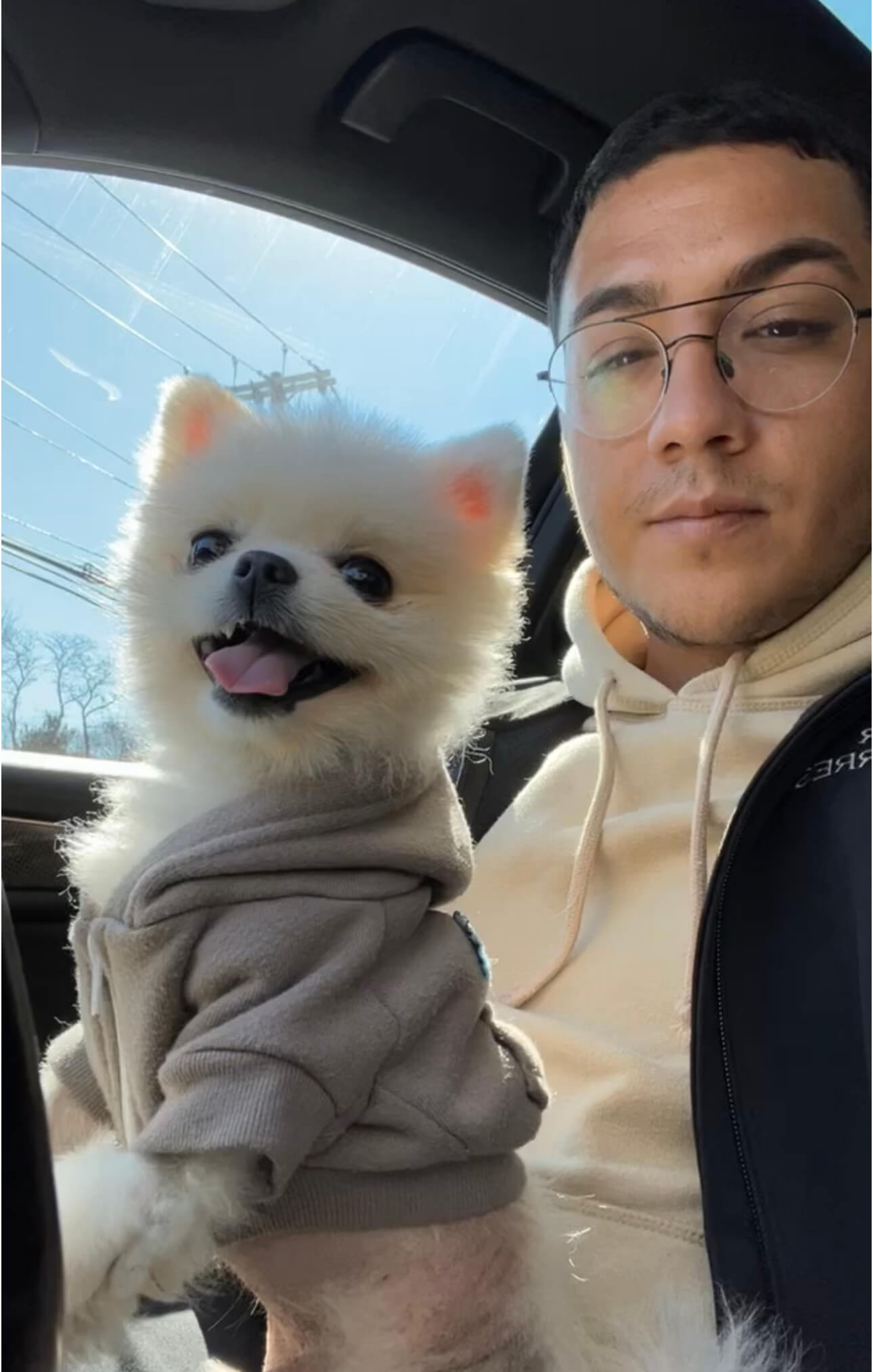 About Us - Pawfect Solutions